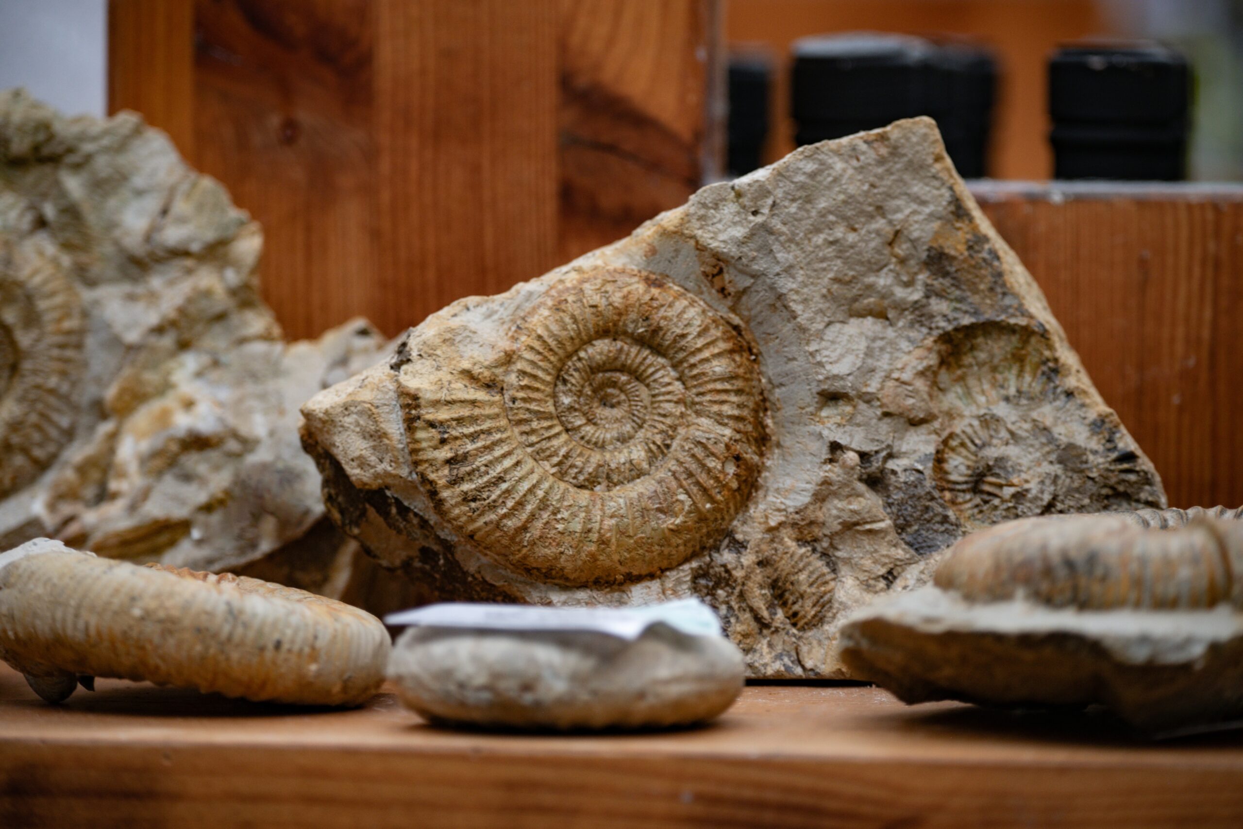 يوسف خليل sotwe she has a stunning visage and body of a